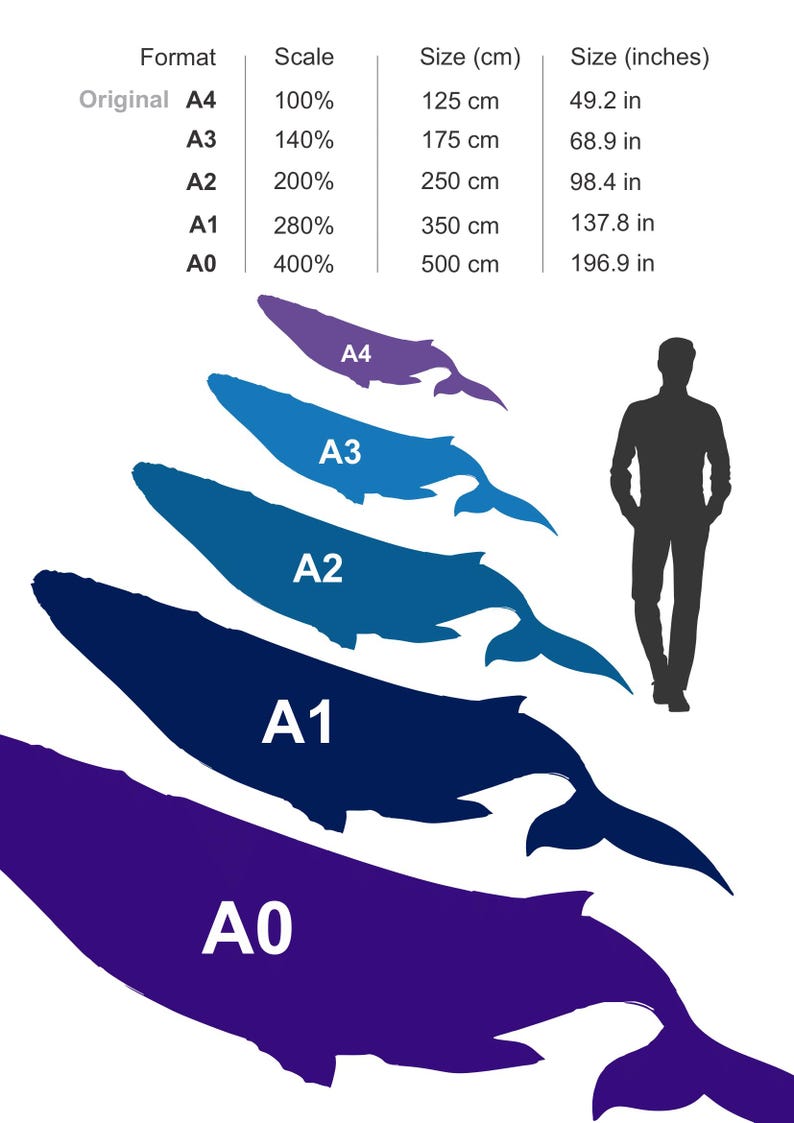 Whale Papercraft Sculpture Template — Paper & EVA Foam DIY Model, Pdf ...