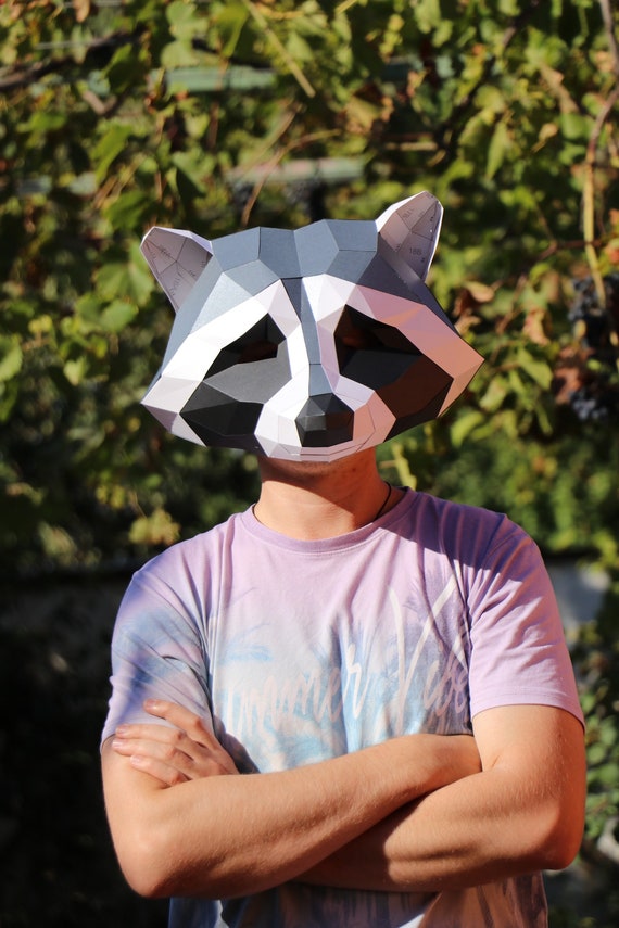 Homemade Raccoon Costume