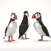 Atlantic Puffin 3D Papercraft Template, Low Poly Bird Model (PDF, DXF ...