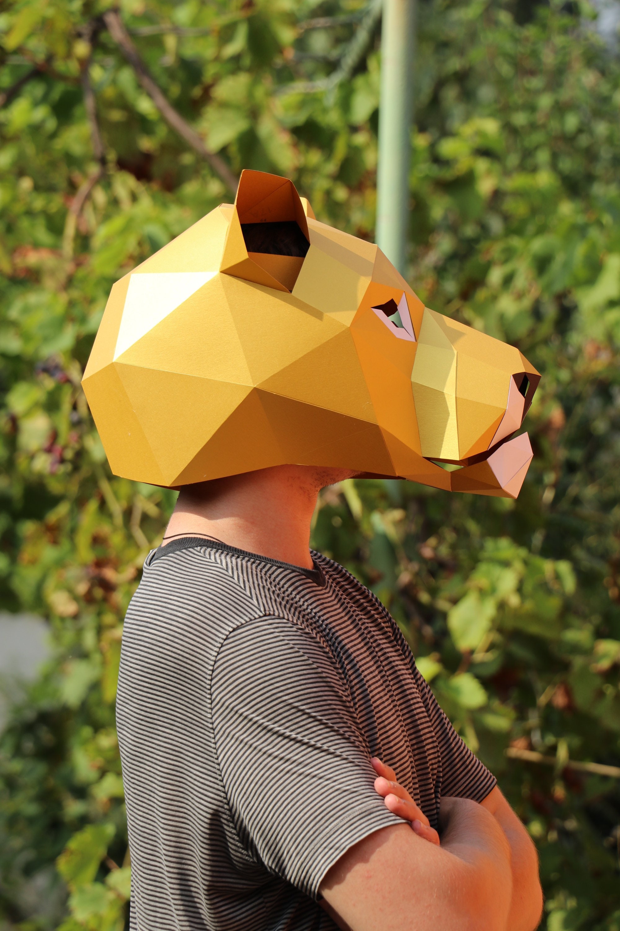 Lioness Mask Low Poly DIY Paper Craft Mask Lioness PDF - Etsy UK