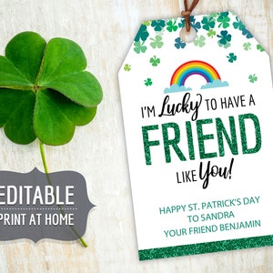 Friend St. Patricks Day Printable Gift Tags, Editable Personalized ...