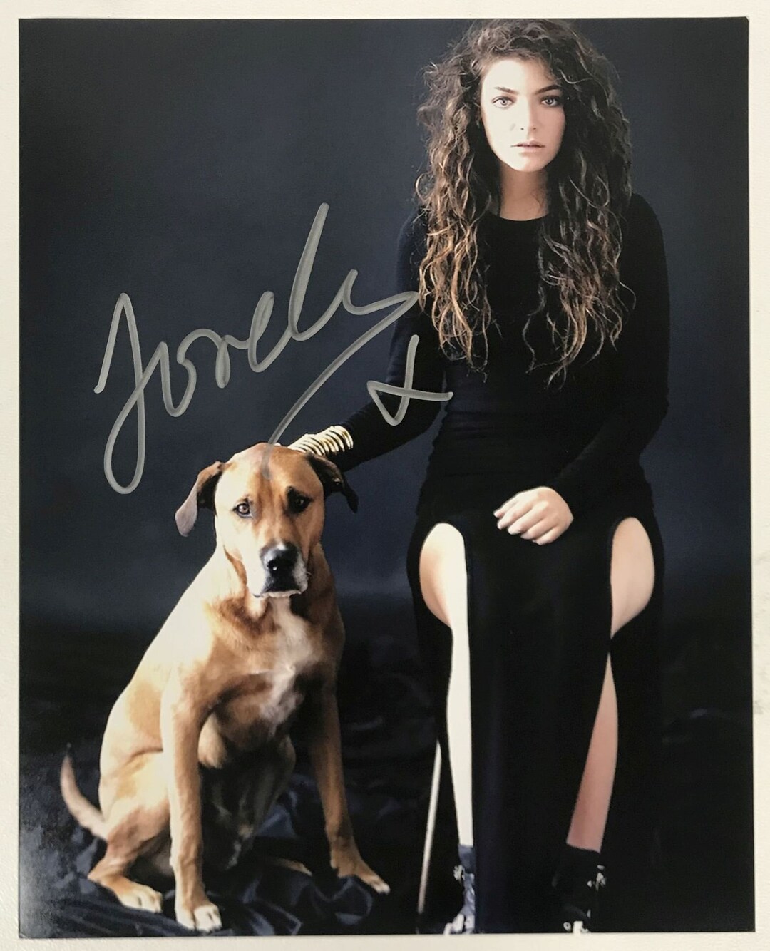 Lorde Signed Autographed Glossy 8x10 Photo Lifetime COA - Etsy