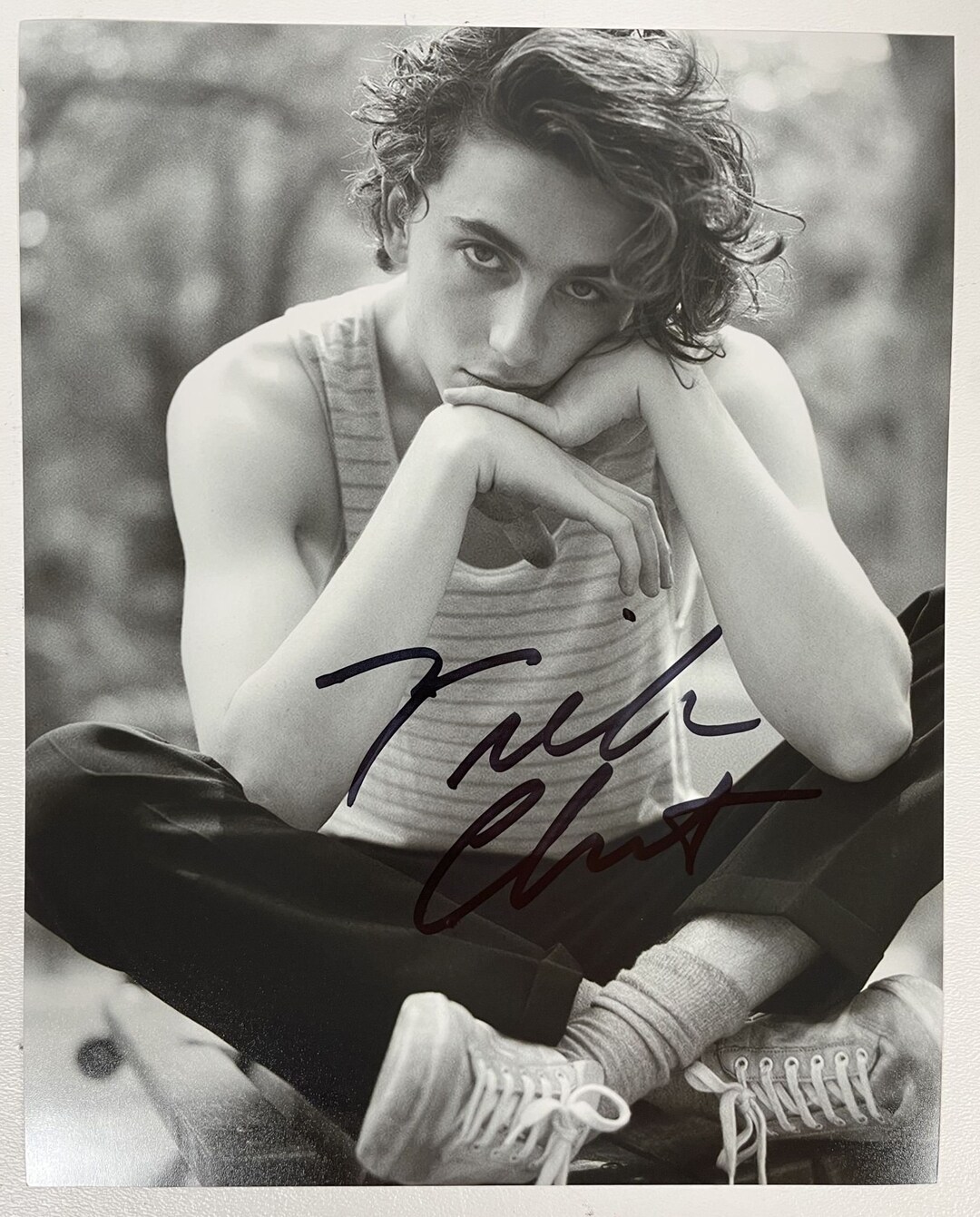Timothee Chalamet Signed Autographed Glossy 8x10 Photo Lifetime COA - Etsy Timothee Chalamet Signed Autographed Glossy 8x10 Photo Lifetime COA - Etsy