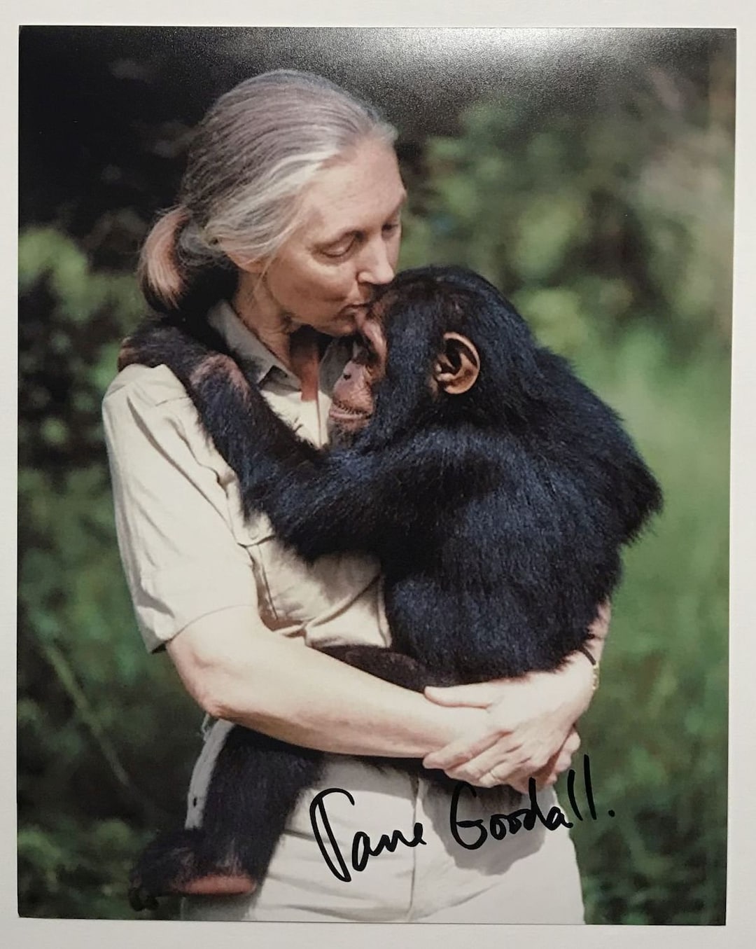 Jane Goodall Signed Autographed Glossy 8x10 Photo Lifetime COA - Etsy