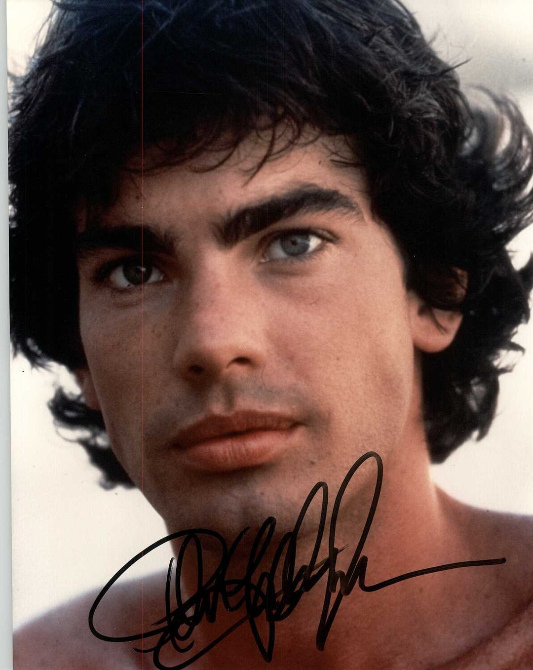 Peter Gallagher Signed Autographed Glossy 8x10 Photo Lifetime COA - Etsy