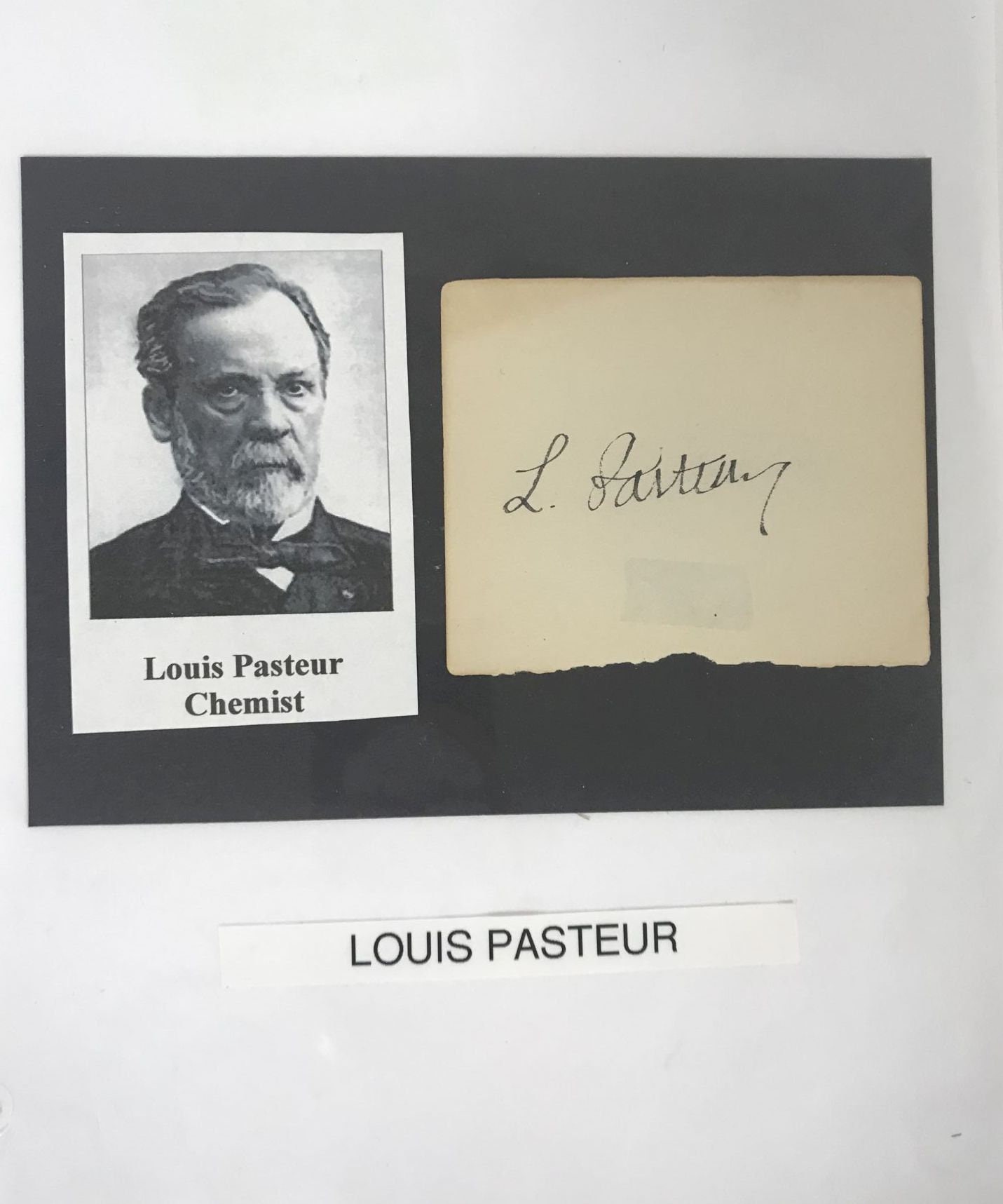 Louis Pasteur Signature