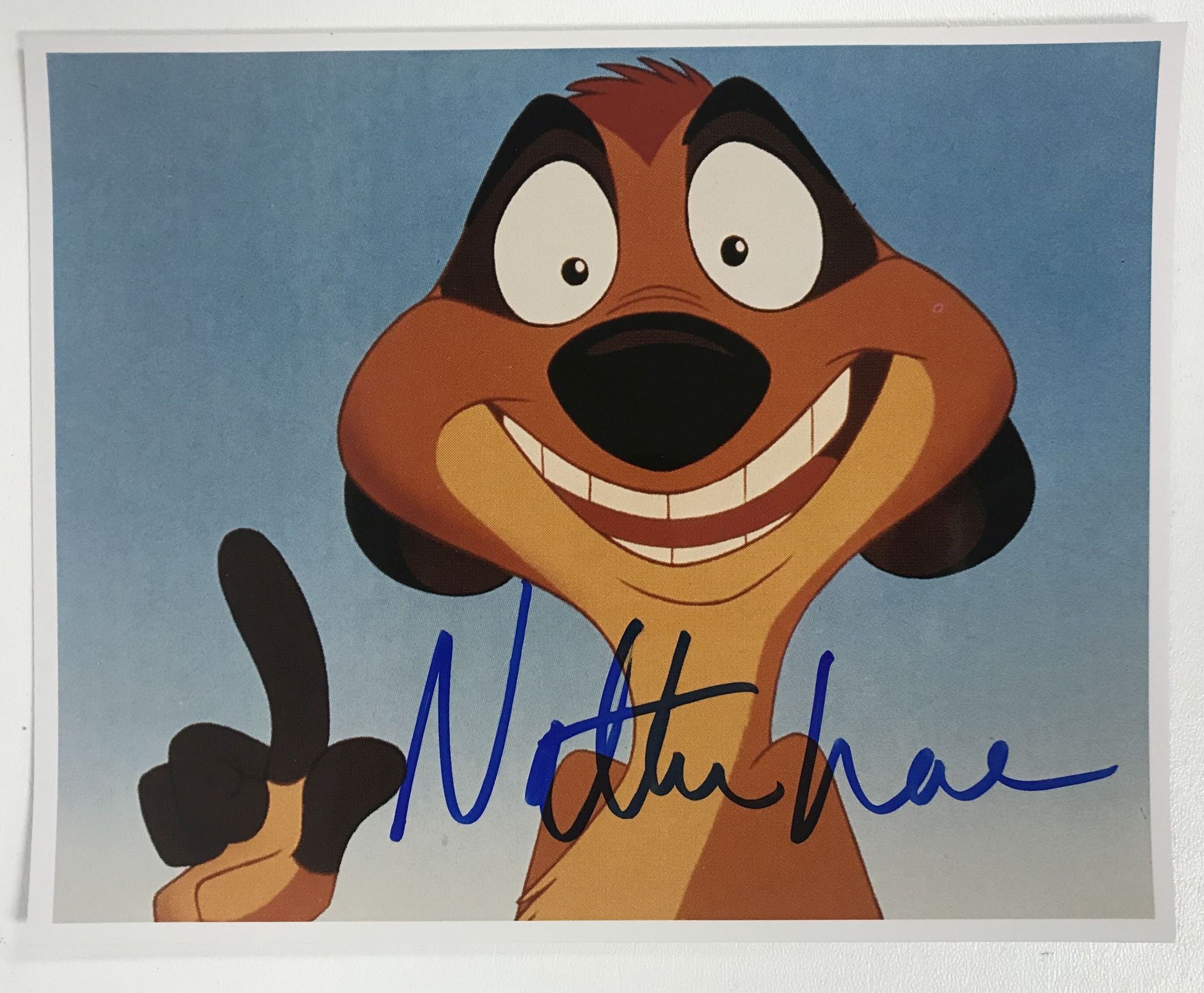 Nathan Lane Timon