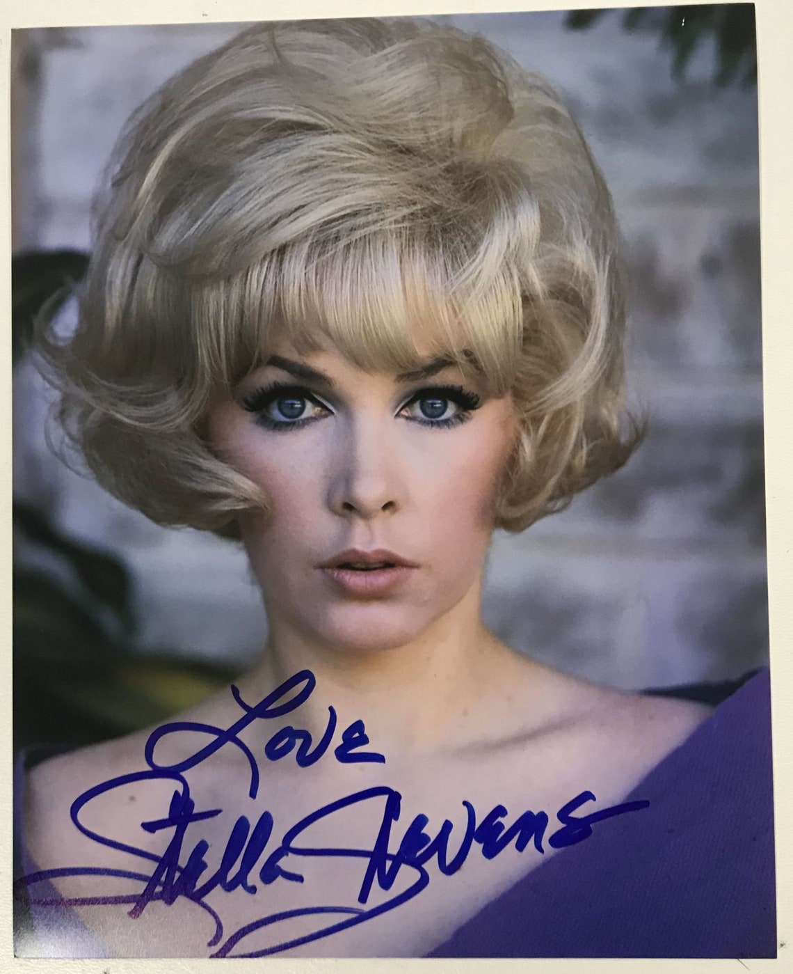 Stella Stevens Signed Autographed Glossy 8x10 Photo COA - Etsy