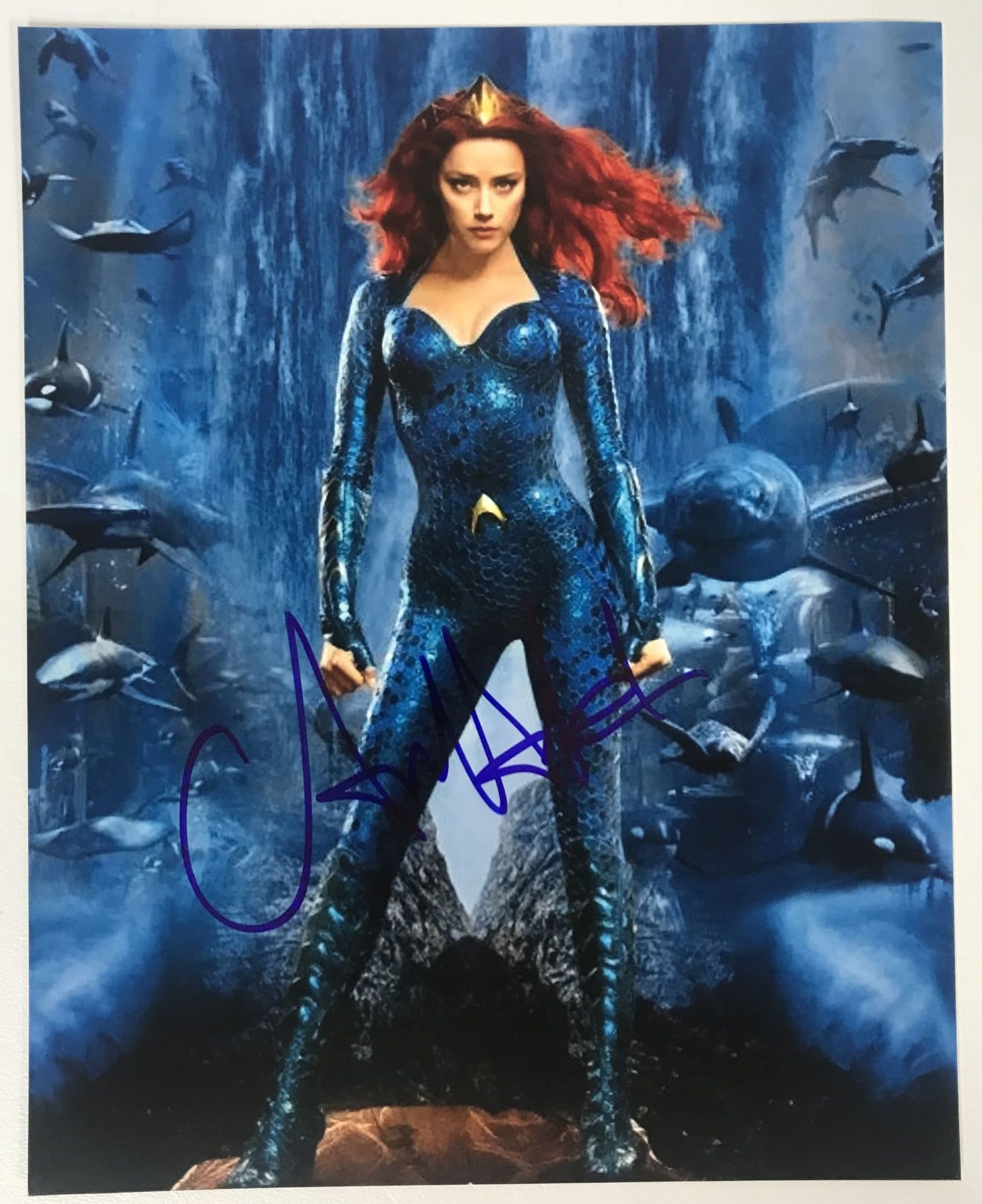 Amber Heard Signed Autographed aquaman Glossy 8x10 - Etsy