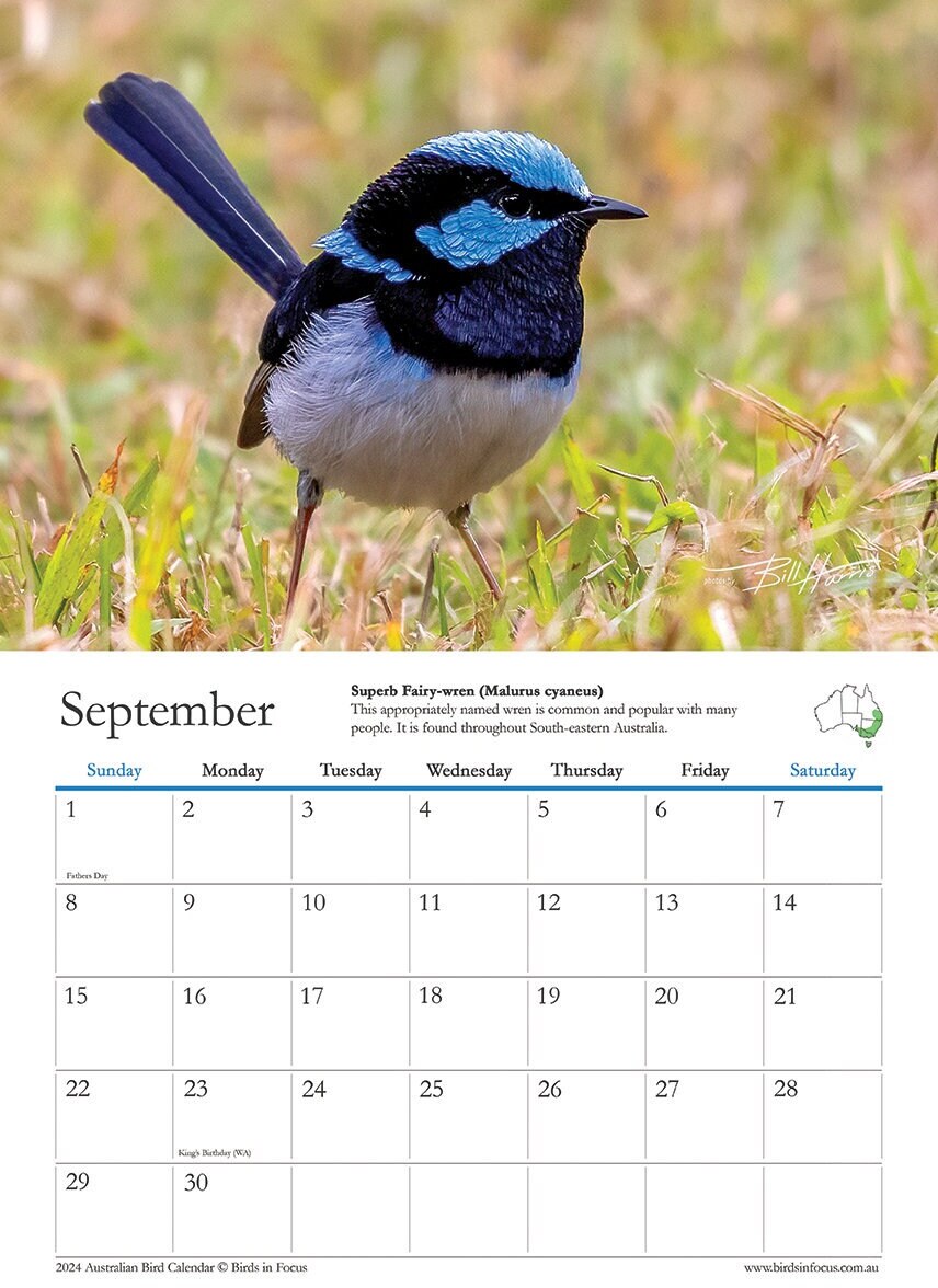 Annual Calendar Australian Birds 2024 A4 - Etsy