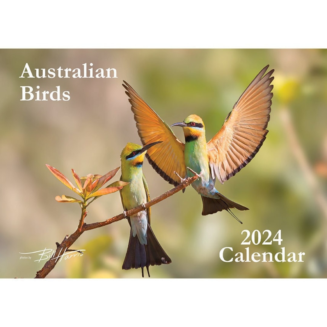 Annual Calendar Australian Birds 2024 A4 - Etsy