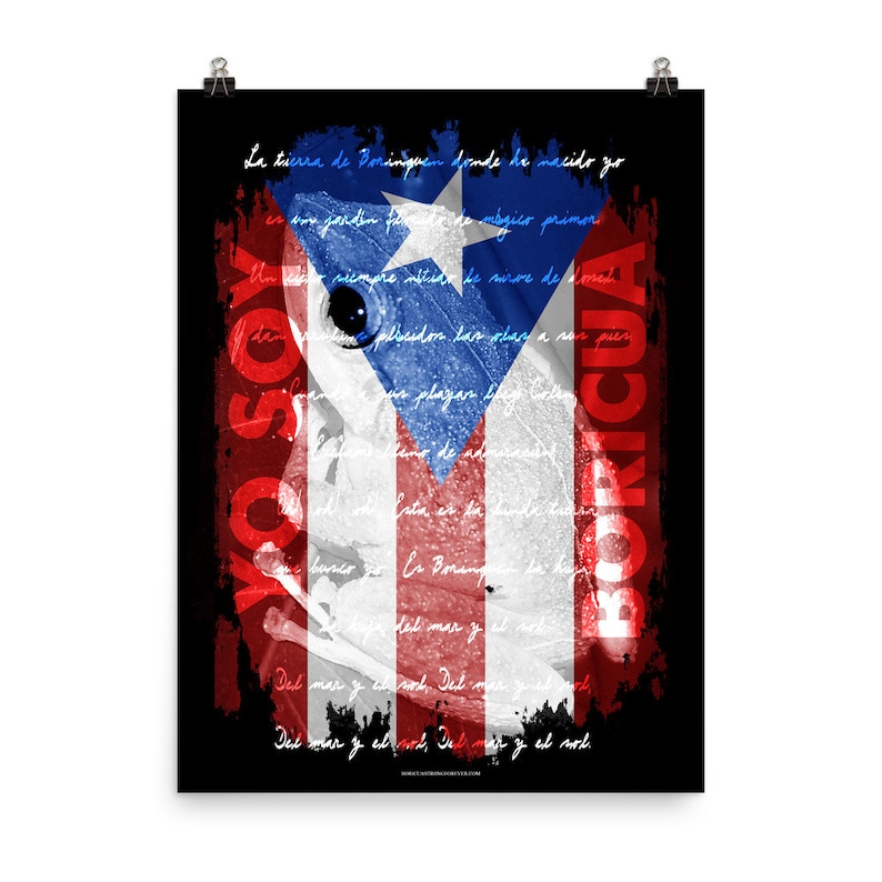 Yo Soy Boricua Coqui Puerto Rico Flag La Borinquena Poster - Etsy