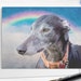 Greyhound Oil Paintings A2 Notecards - Set of 12 With Envelopes - Etsy