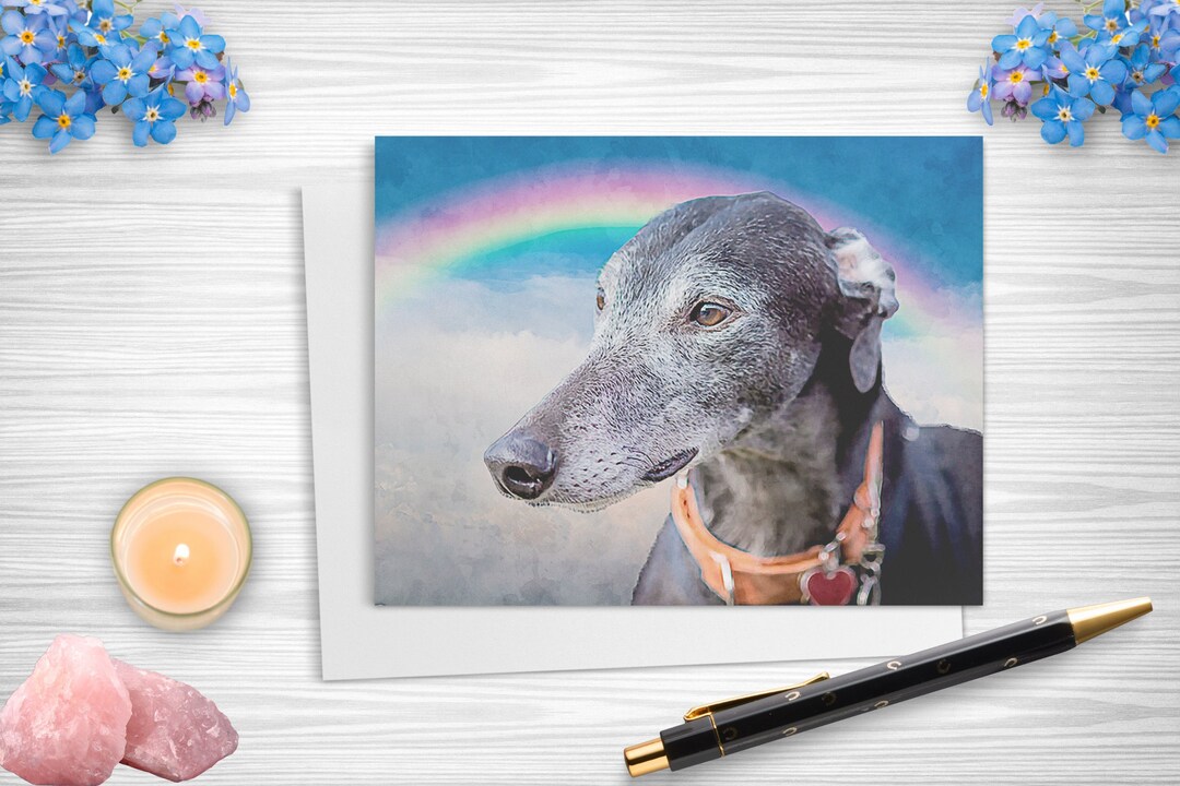 Greyhound Sympathy Greeting Cards | Dog Memorial Cards | Set of 12 A2 ...