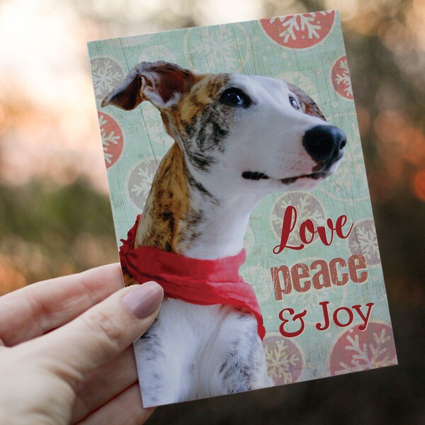 Greyhound Christmas Cards - Etsy
