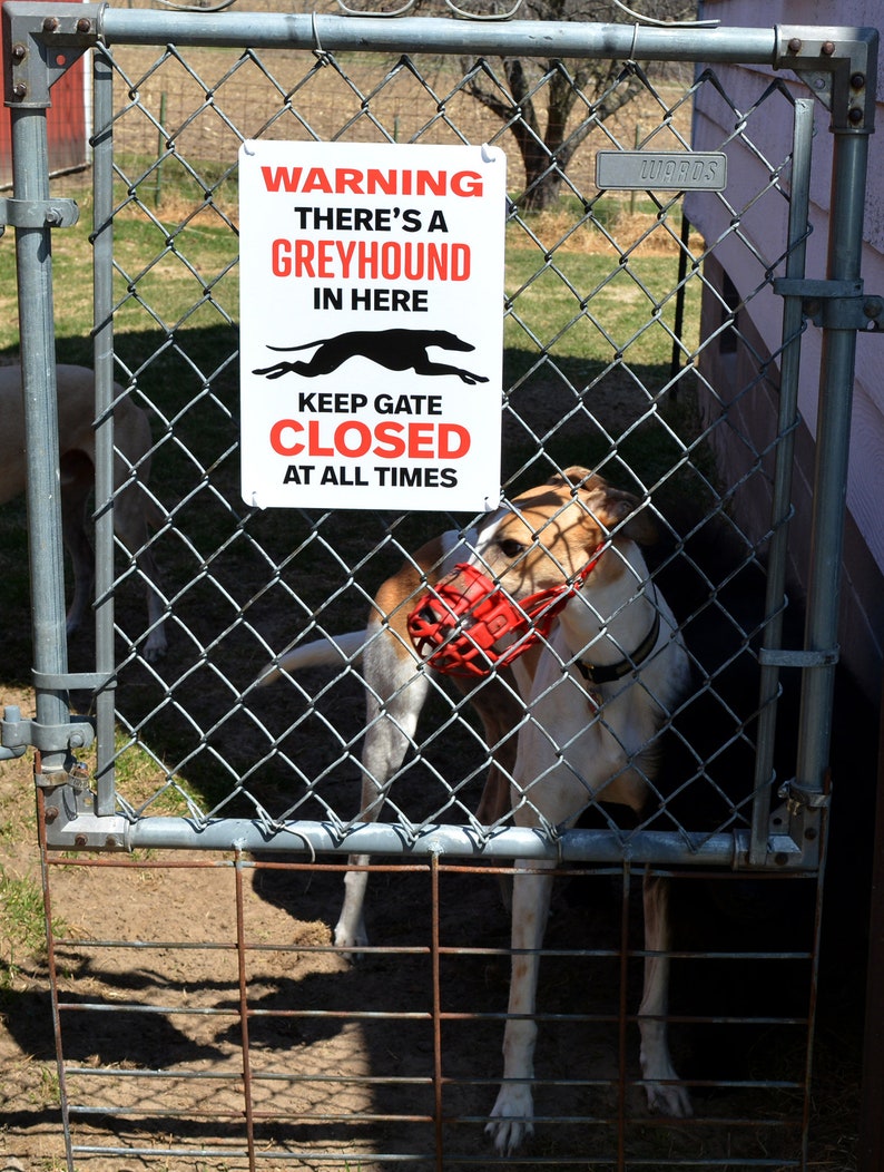 Gate & Door Safety Signs - Warning Greyhound Keep Gate/door Closed ...