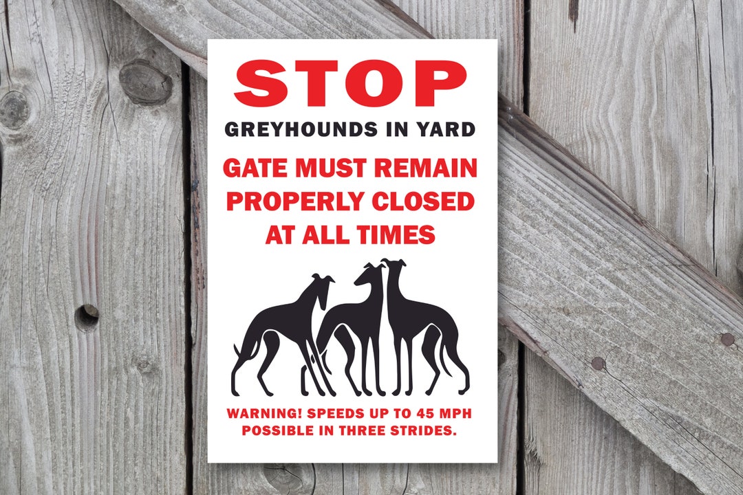 Gate & Door Safety Signs - Stop Greyhounds in Here (plastic Synapse ...