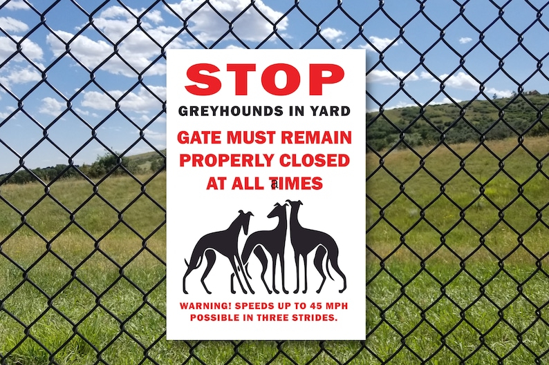 Gate & Door Safety Signs - Stop Greyhounds in Here (plastic Synapse ...