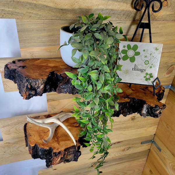 Log Shelves - Etsy