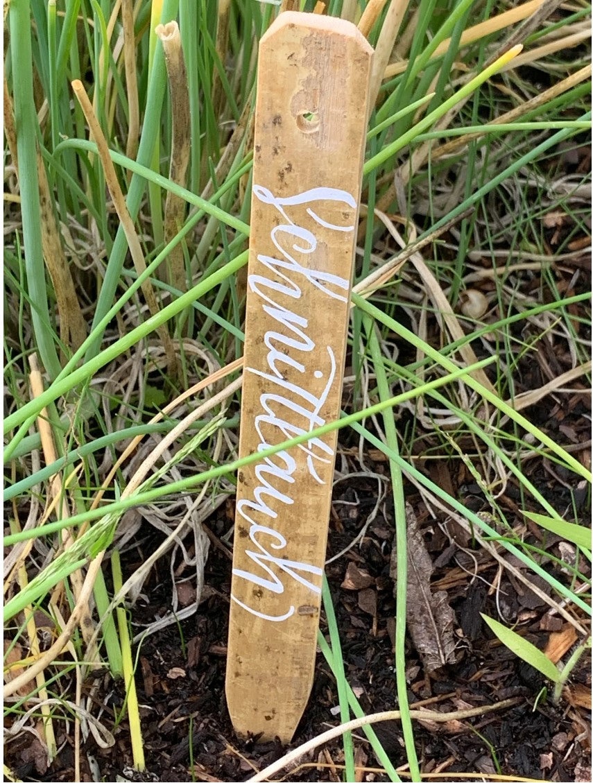 6 Pcs. Bamboo Herb Plug, Gift Tag, Plant Plug, Wooden Sign, Garden ...