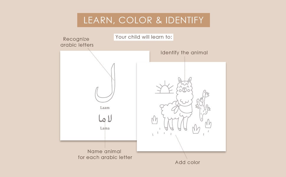 Arabic Alphabet Learning: Arabic Letters Animal Themed Coloring Book - Etsy