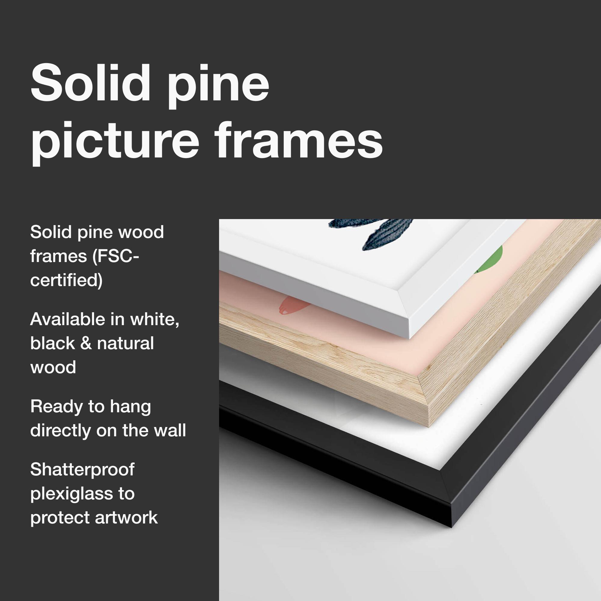 Black Fourth Wing Map: the Continent, Empyrean Series Fantasy World ...