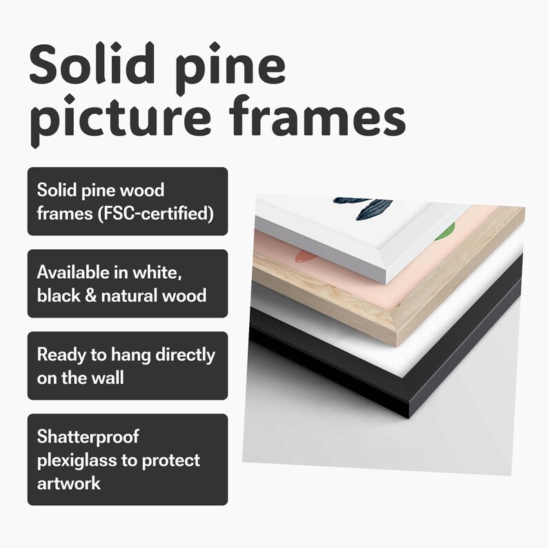 Fourth Wing Map, Iron Flame World Map, Empyrean Series Map, the ...
