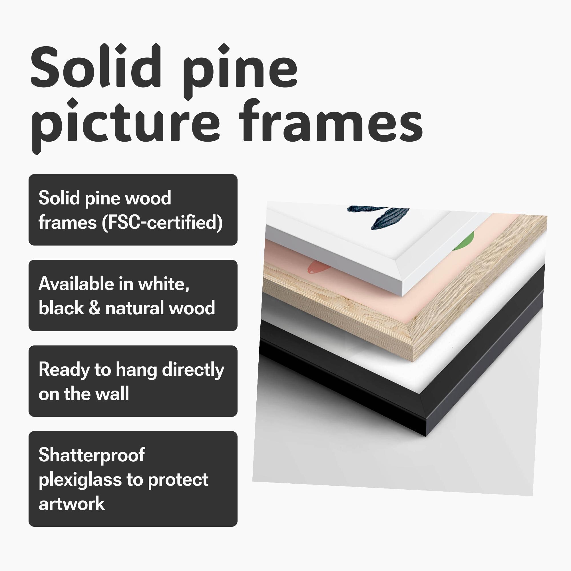 Fourth Wing Map, Iron Flame World Map, Empyrean Series Map, the ...