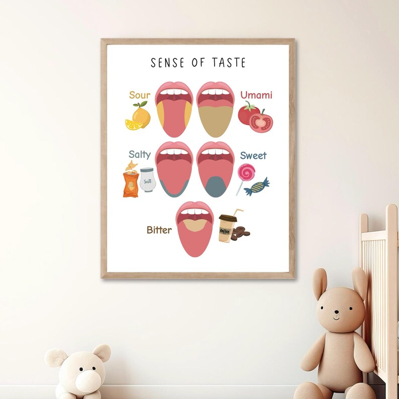 Sense of Taste Poster, Learn About Taste, Nursery Decor, Learning Home ...