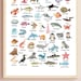 Ocean Animals Poster, Montessori Educational Posters, Nursery Wall ...