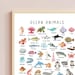 Ocean Animals Poster, Montessori Educational Posters, Nursery Wall ...