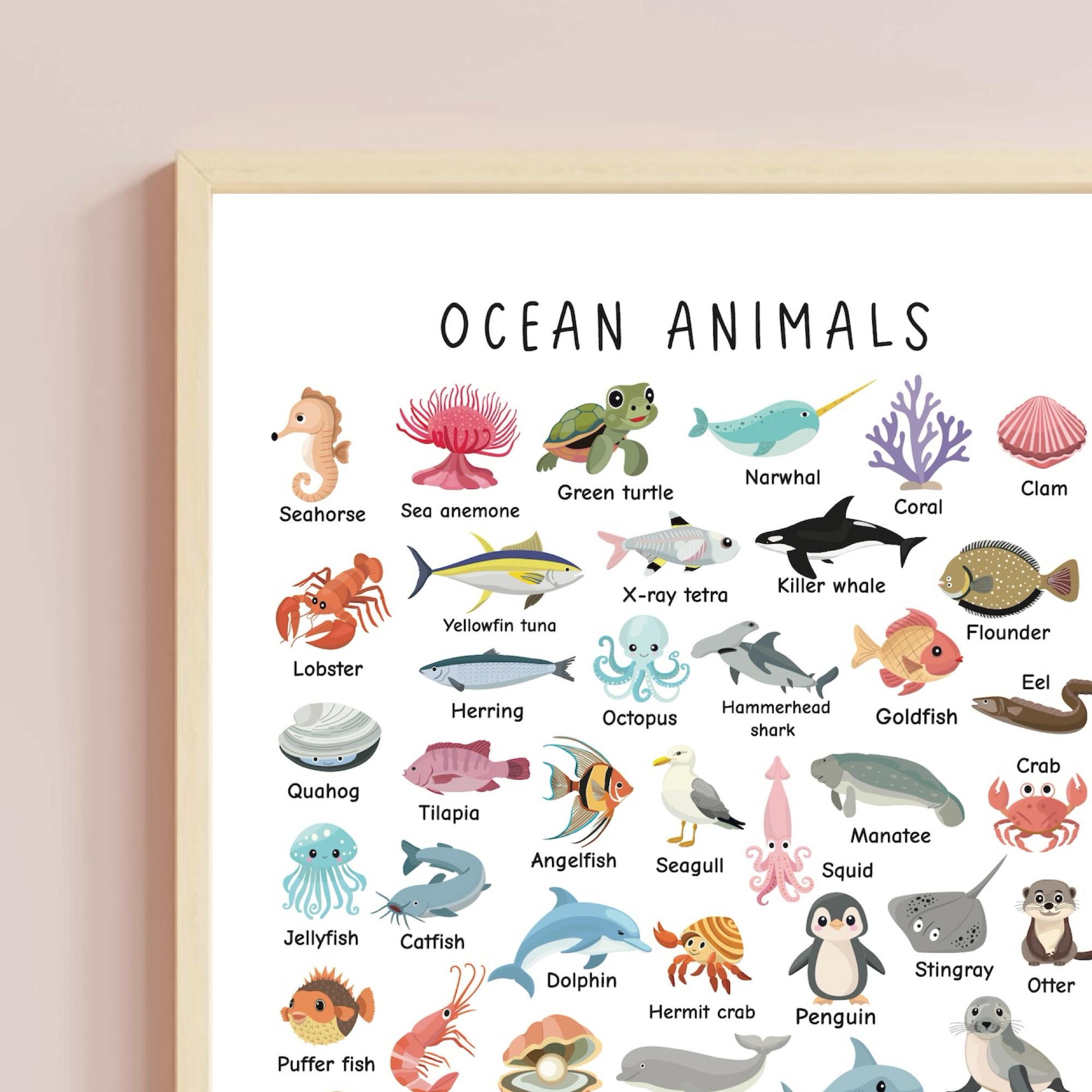 Ocean Animals Poster, Montessori Educational Posters, Nursery Wall ...