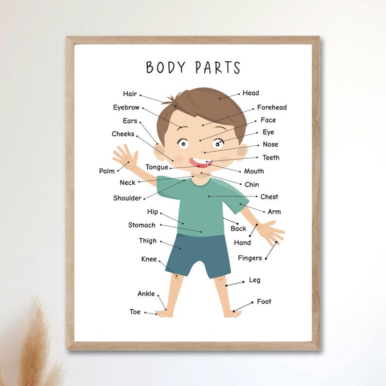 Body Parts Poster, My Body Educational Posters, Kids Wall Decor, My ...