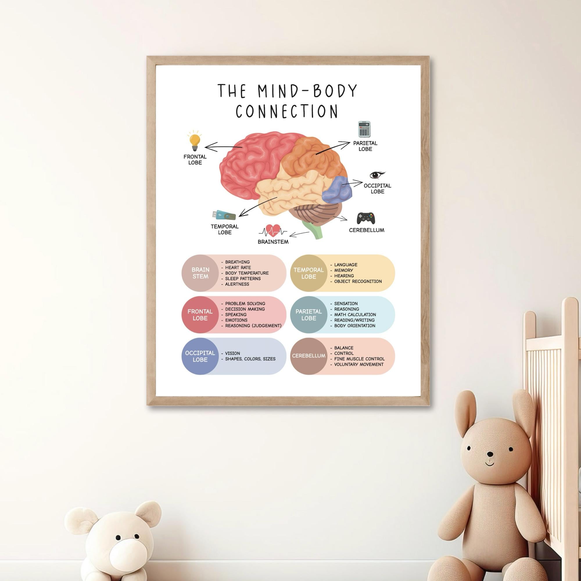 Brain Poster, Brain Anatomy & Psychology, Human Brain Anatomy, Mind ...