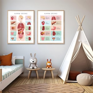Human Body Poster, Health Education Prints, Anatomy Poster, Organs ...