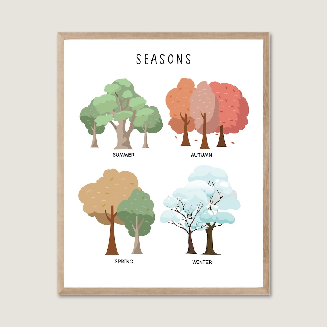 Four Seasons Educational Poster, Seasons Poster, Seasons Chart, Kids ...
