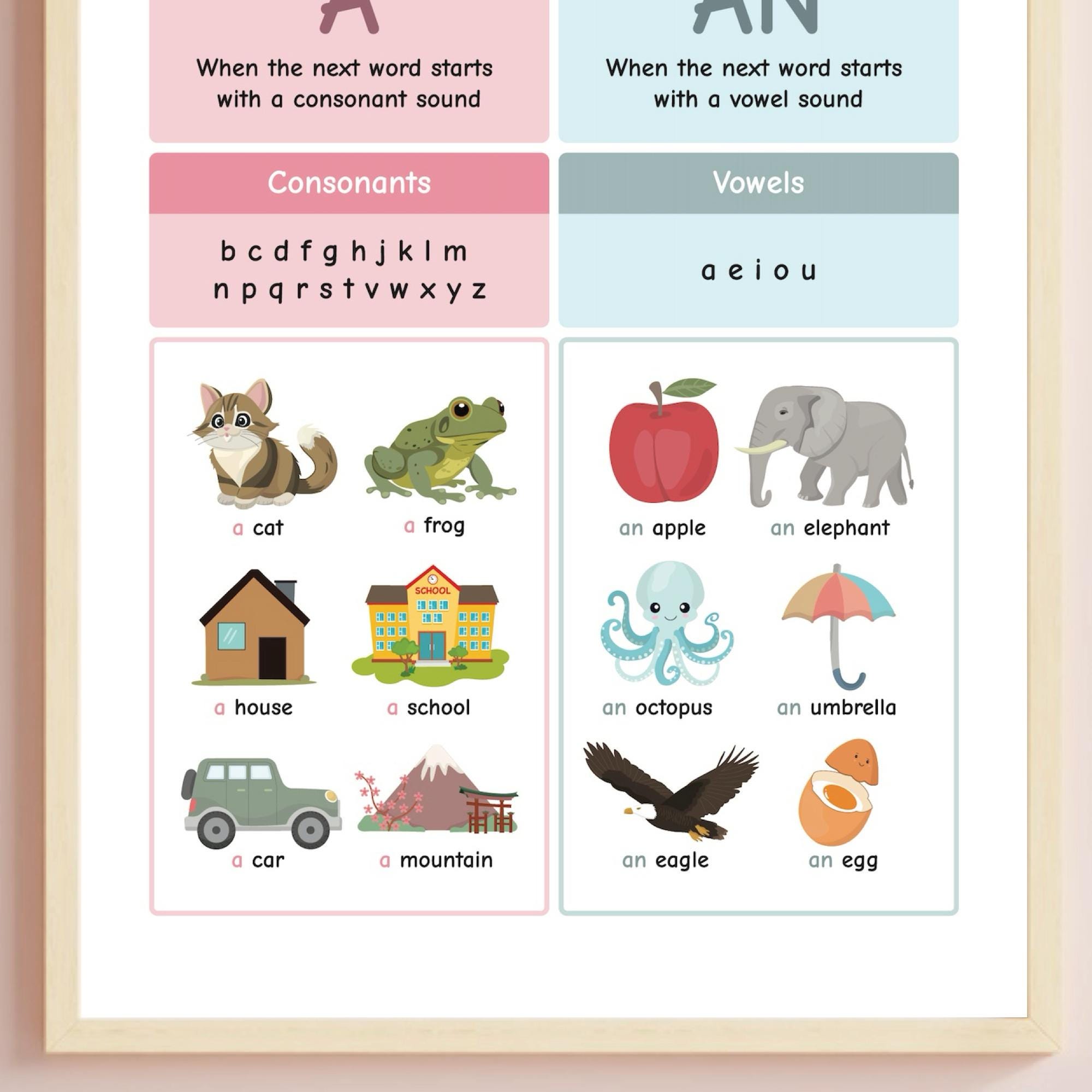 Vowels and Consonants Chart, Alphabet Poster (digital Download) - Etsy