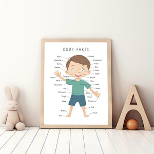 Body Parts Poster, My Body Educational Posters, Kids Wall Decor, My ...