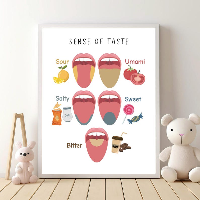 Sense of Taste Poster, Learn About Taste, Nursery Decor, Learning Home ...
