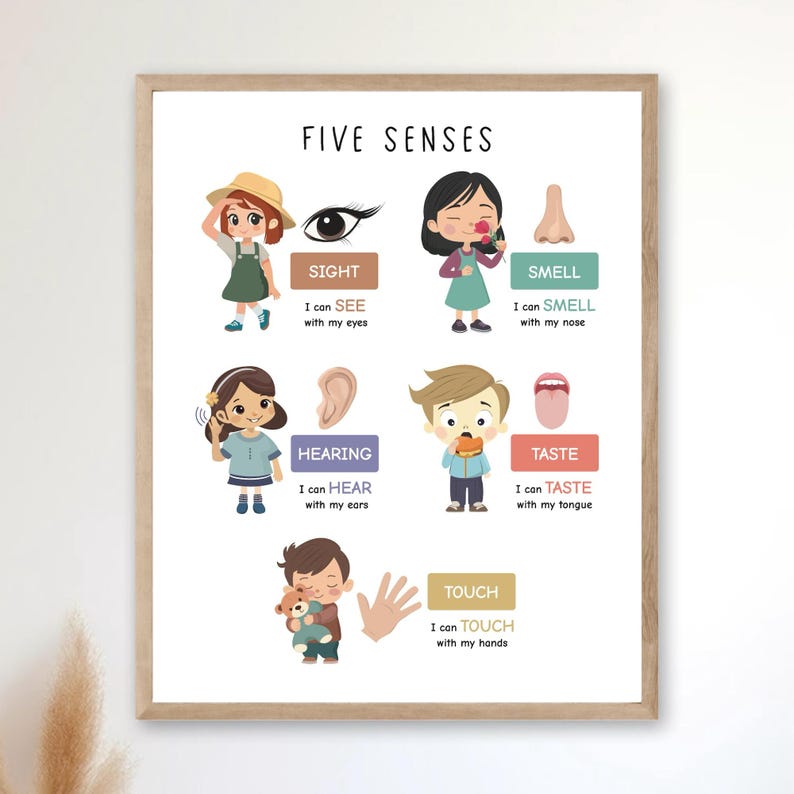 Five Senses Poster, 5 Senses Printable Wall Art, Hearing Sight Smell ...