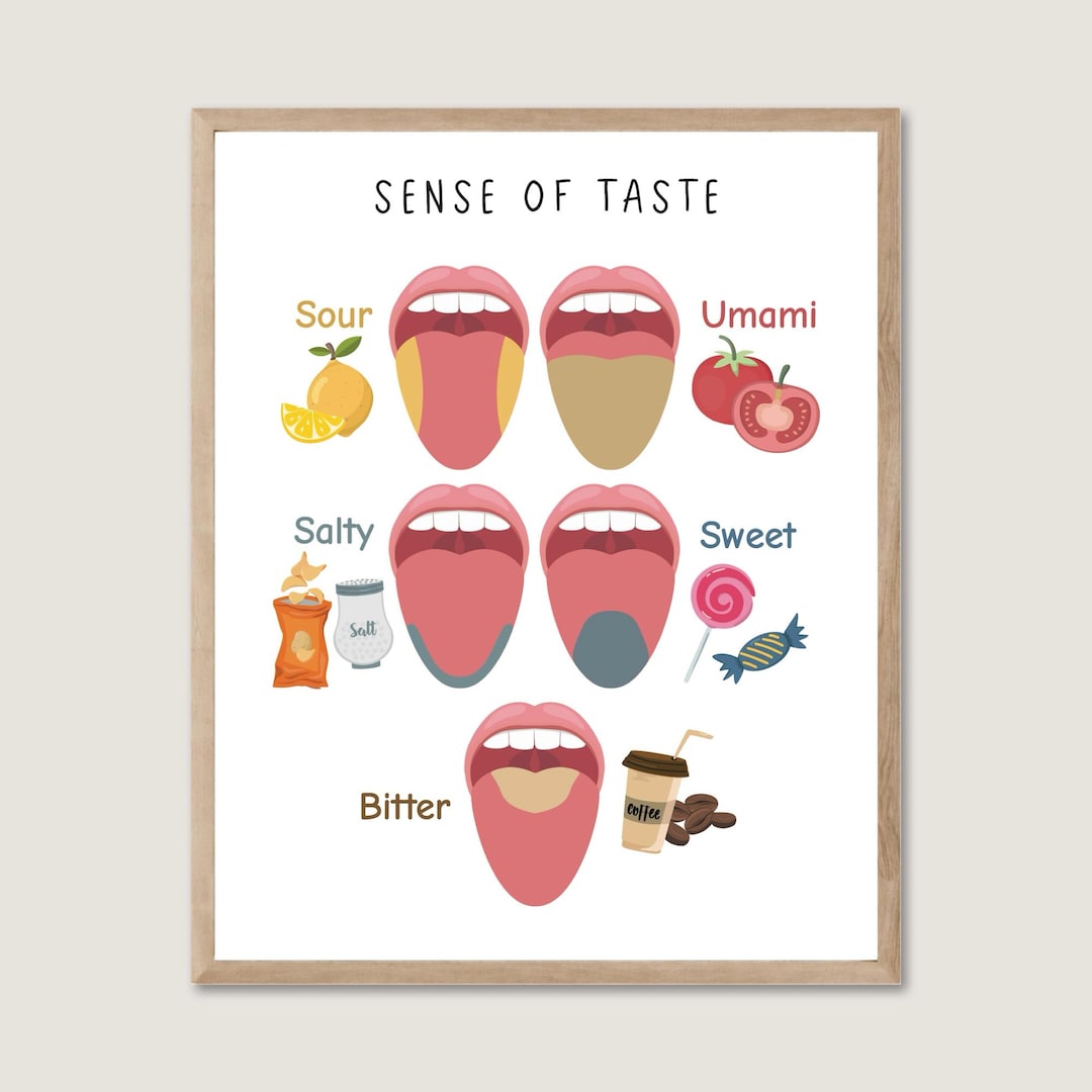 Sense of Taste Poster, Learn About Taste, Nursery Decor, Learning Home ...
