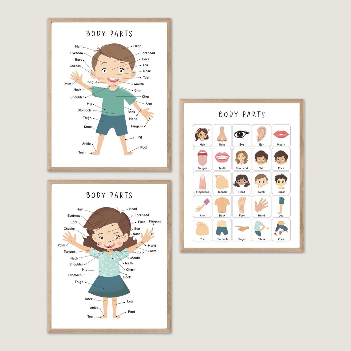Body Parts Poster, My Body Educational Posters, Kids Wall Decor, My ...