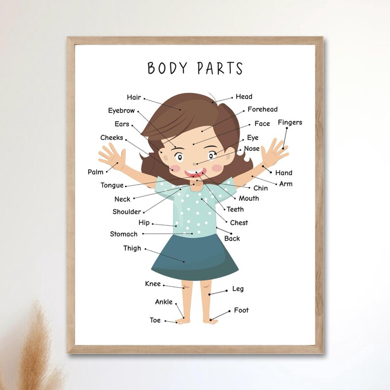 Body Parts Poster, My Body Educational Posters, Kids Wall Decor, My ...