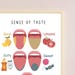 Sense of Taste Poster, Learn About Taste, Nursery Decor, Learning Home ...