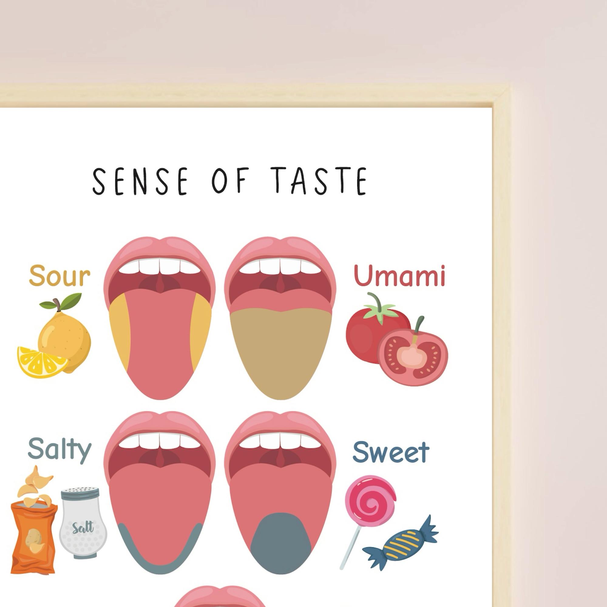 Sense of Taste Poster, Learn About Taste, Nursery Decor, Learning Home ...
