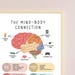 Brain Poster, Brain Anatomy & Psychology, Human Brain Anatomy, Mind ...