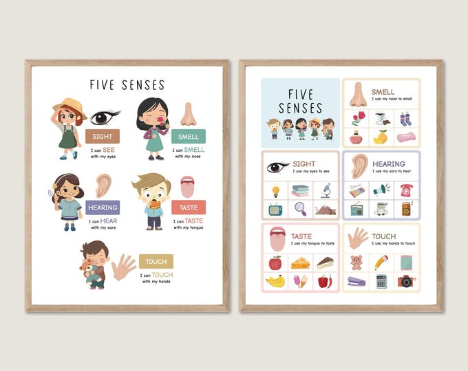 5 Senses Traditional Chinese Kids 我的五感 Science Five Senses Print ...