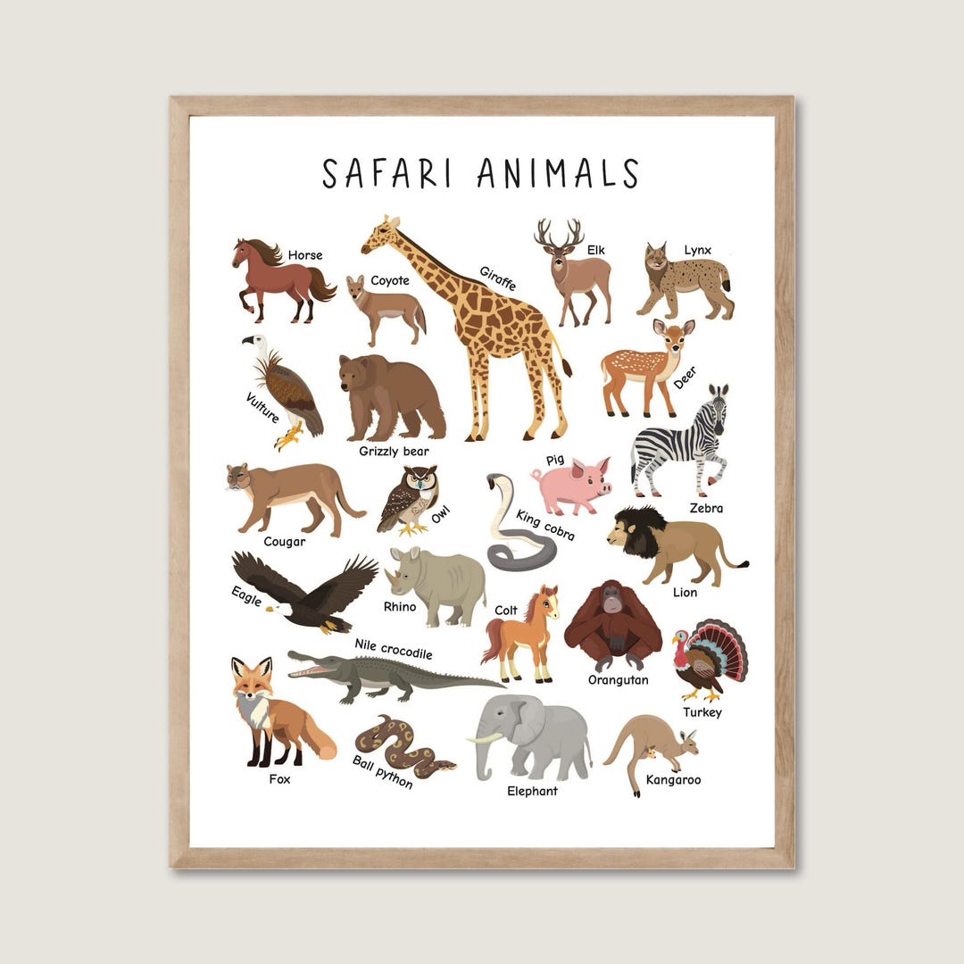 Safari Animals Poster, Nursery Wall Decor, Playroom Decor, Educational ...