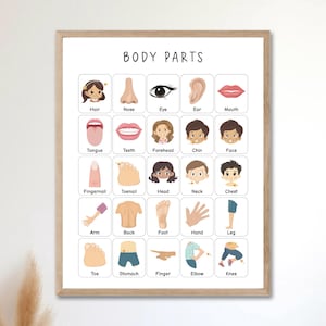 Body Parts Poster, My Body Educational Posters, Kids Wall Decor, My ...