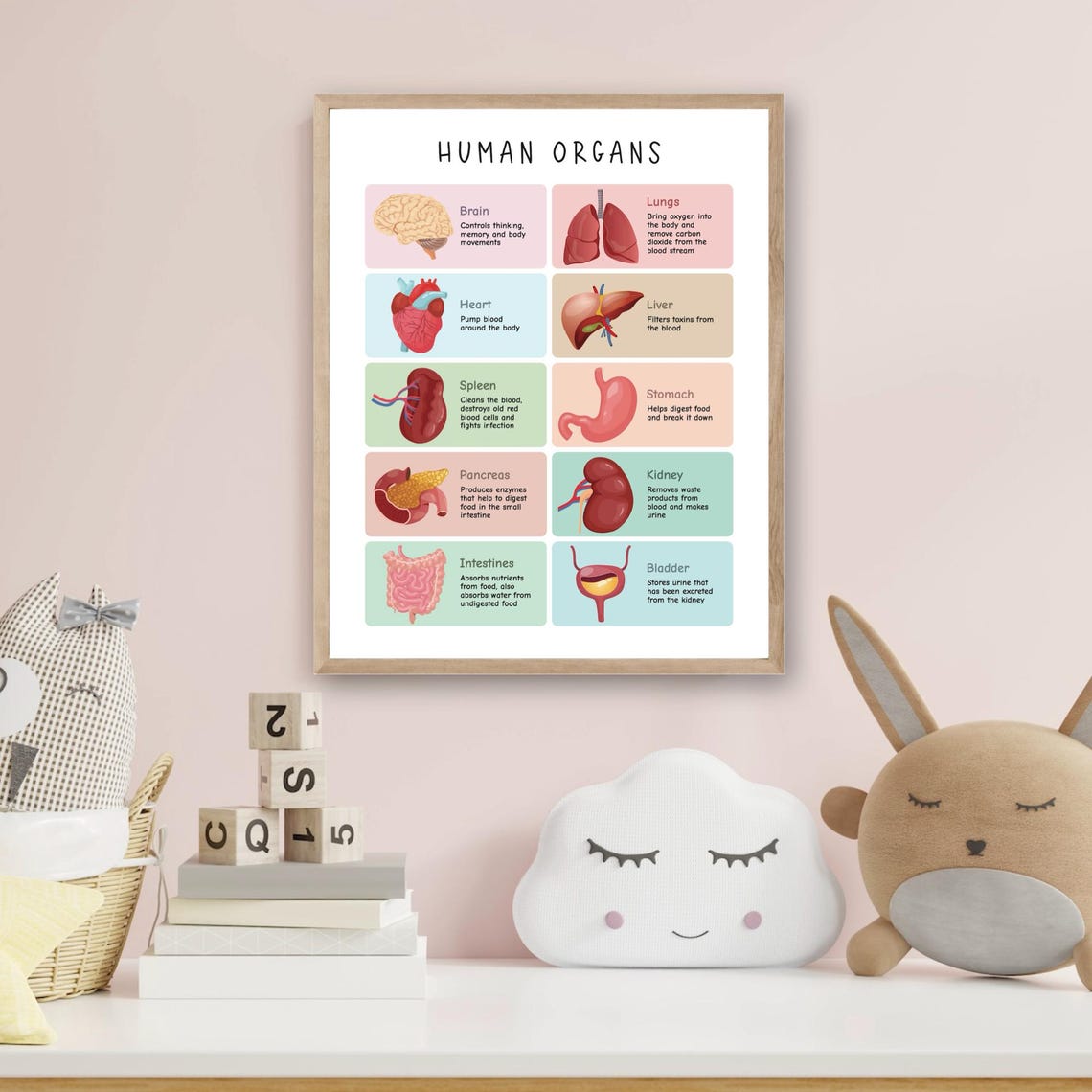 Human Body Poster, Health Education Prints, Anatomy Poster, Organs ...